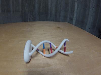 Interactive DNA Model | XYZAidan | YouMagine