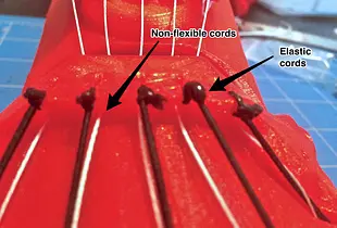 The Raptor Hand by e-NABLE | YouMagine